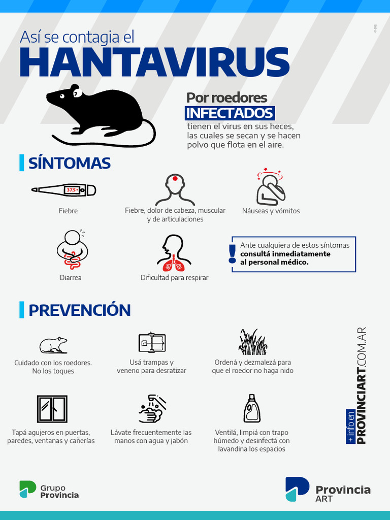 Prevención y Síntomas del Hantavirus | PDF