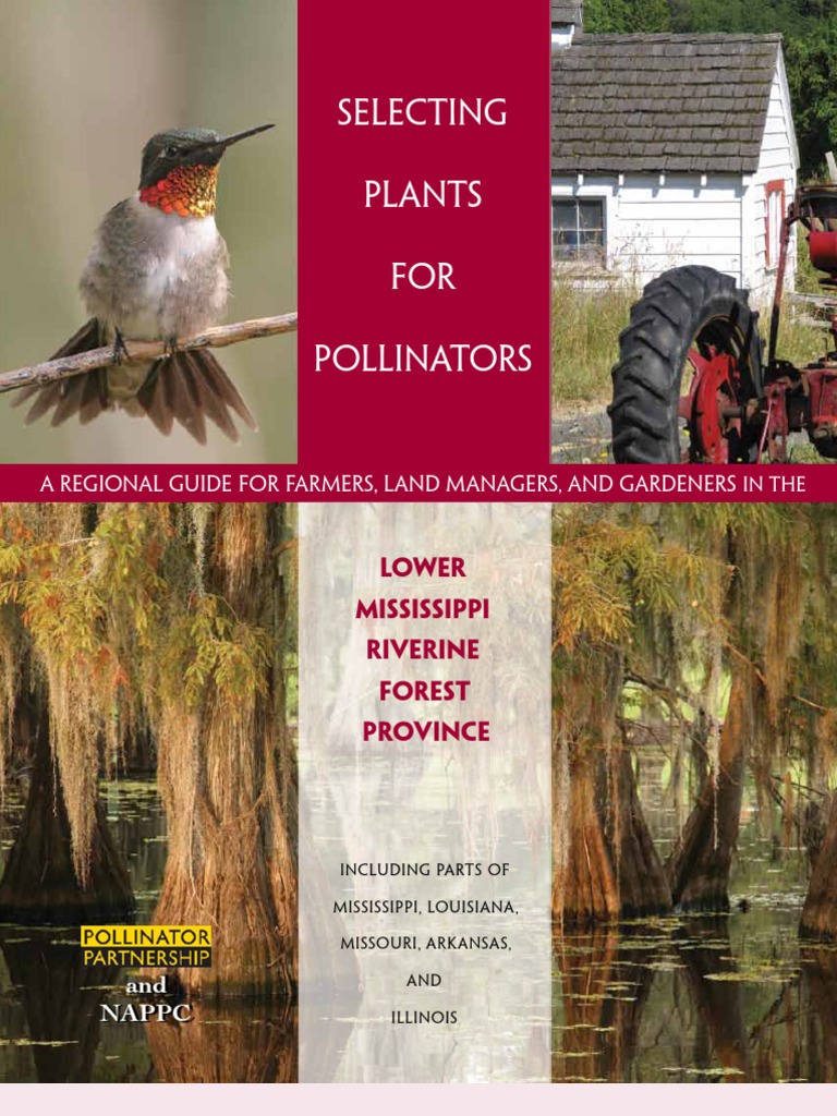 Selecting Plants For Pollinators: Lower Mississippi Riverine Forest ...