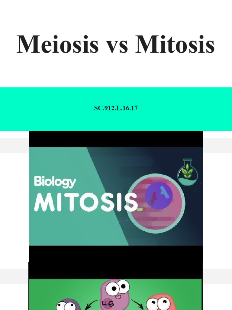 Mitosis Vs Meiosis | PDF | Meiosis | Sexual Reproduction