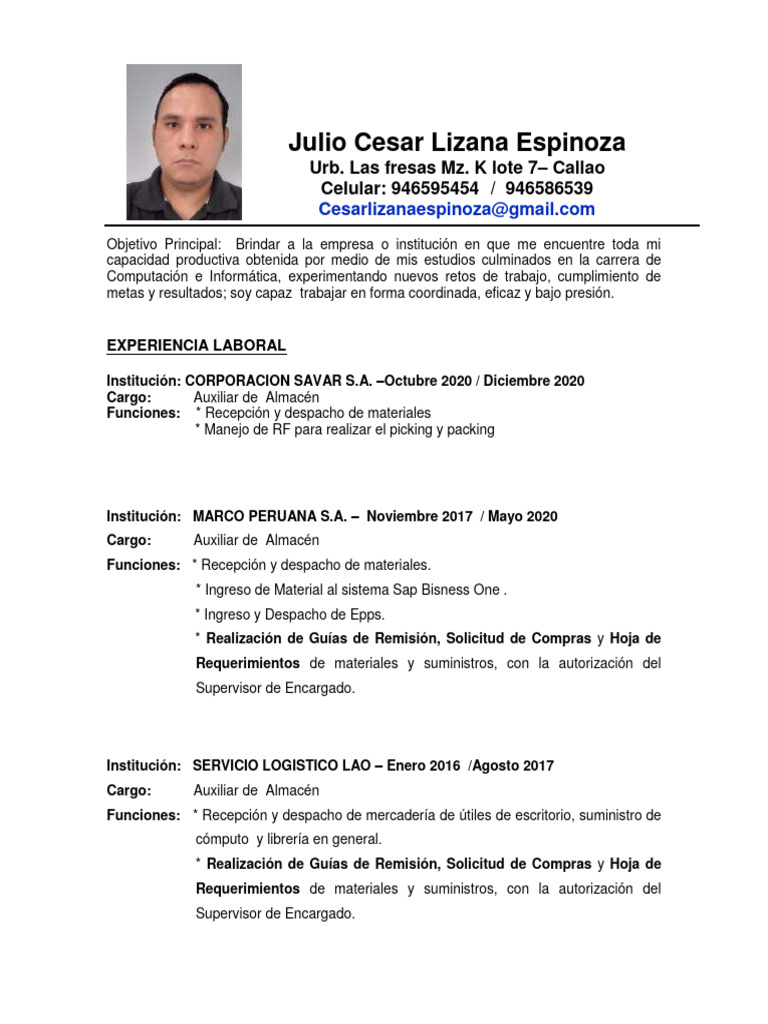 CV Cesar - Actualizado 2021 | PDF | Logística | Business