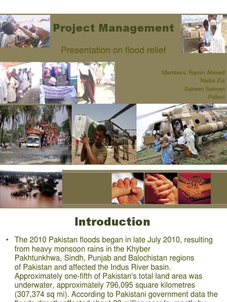 Project Management: Presentation On Flood Relief | PDF | Disaster And ...