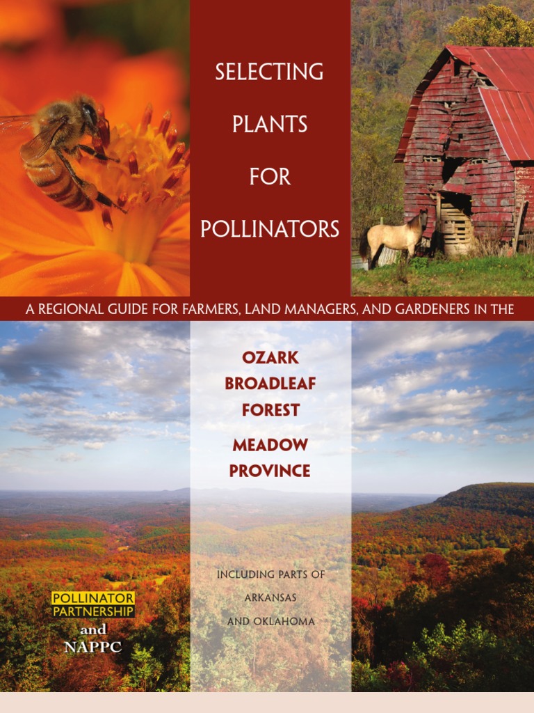 Selecting Plants For Pollinators: Ozark Broadleaf Forest - North ...