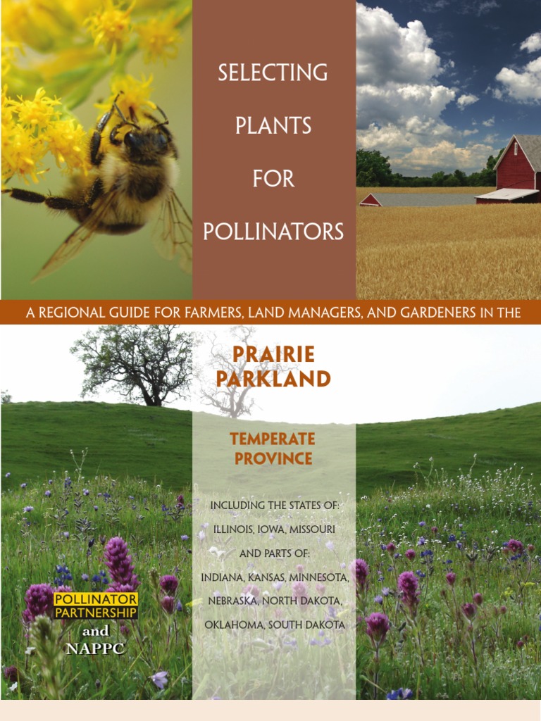 Selecting Plants For Pollinators: Prairie Park Land | PDF | Pollinators ...