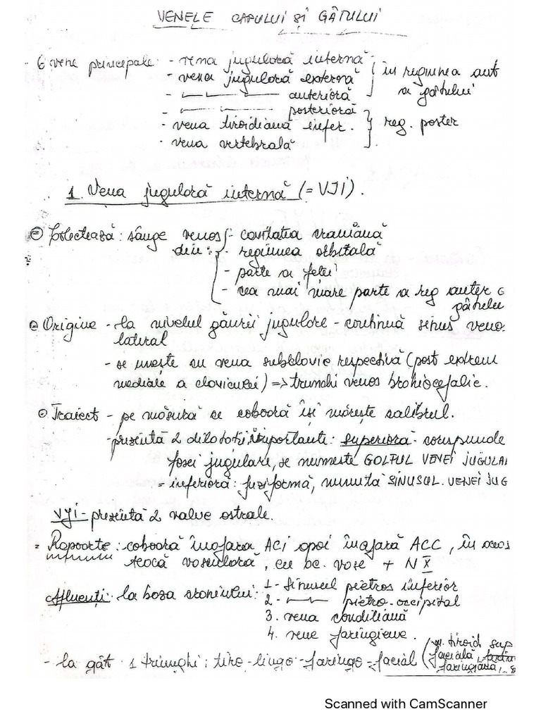 Venele Capului Si G +limf | PDF