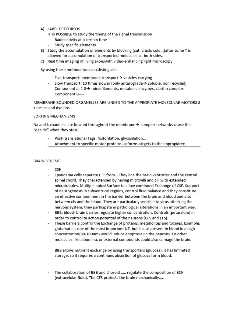 Neuro 7-10-2022 | PDF | Brain | Neuron