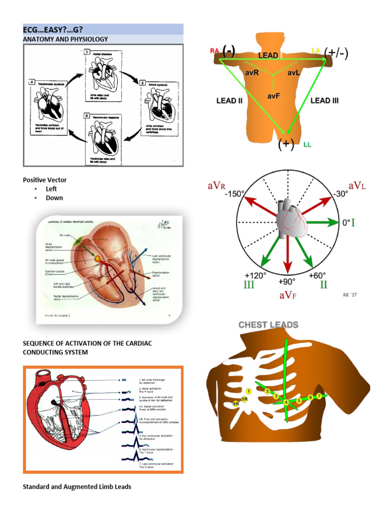 ECG Handouts | Download Free PDF | Electrocardiography | Cardiovascular ...