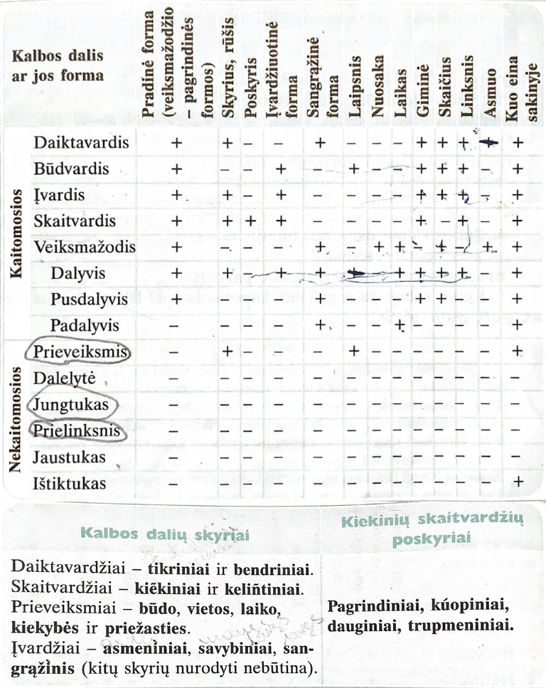 kalbos dalys | PDF