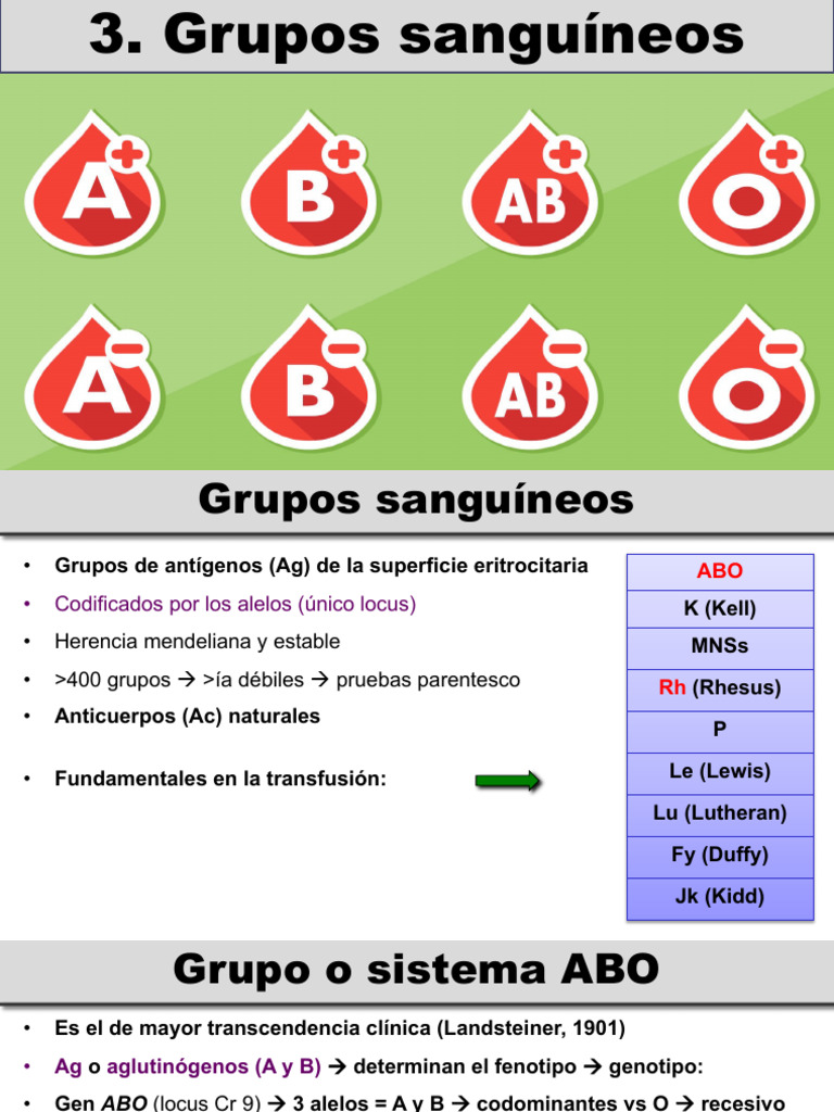 Tema3 Grupos Sanguineos | Descargar gratis PDF | Tipo de sangre | Serología