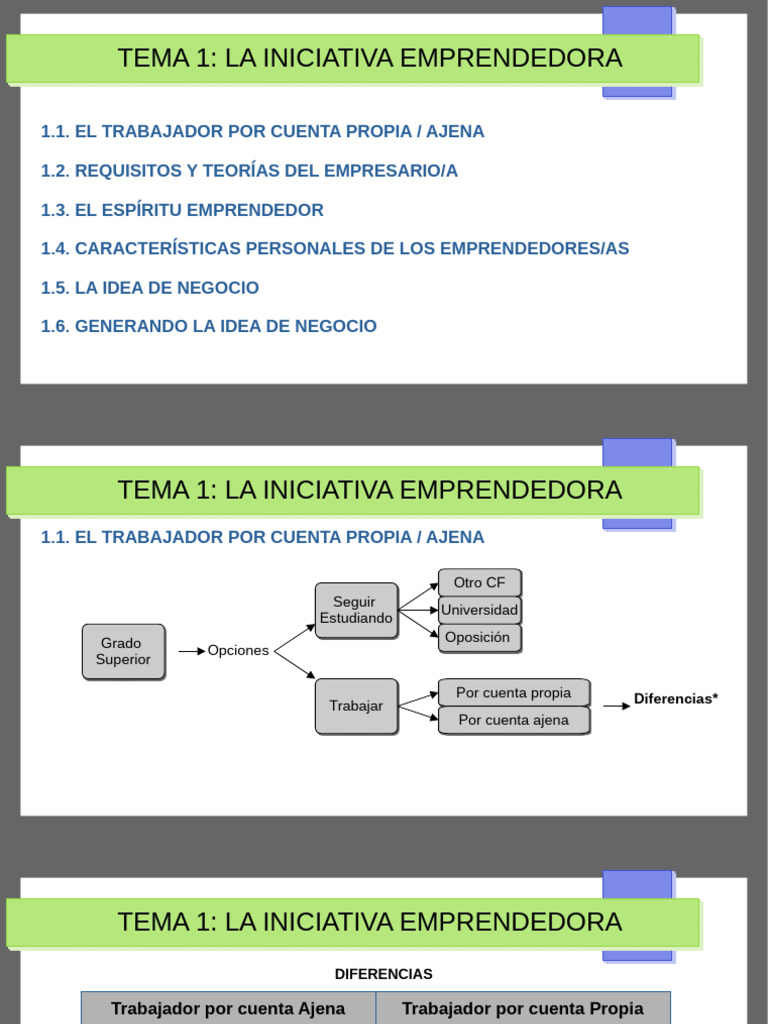 Tema 1 La Iniciativa Emprendedora | Descargar gratis PDF | Iniciativa empresarial | Business
