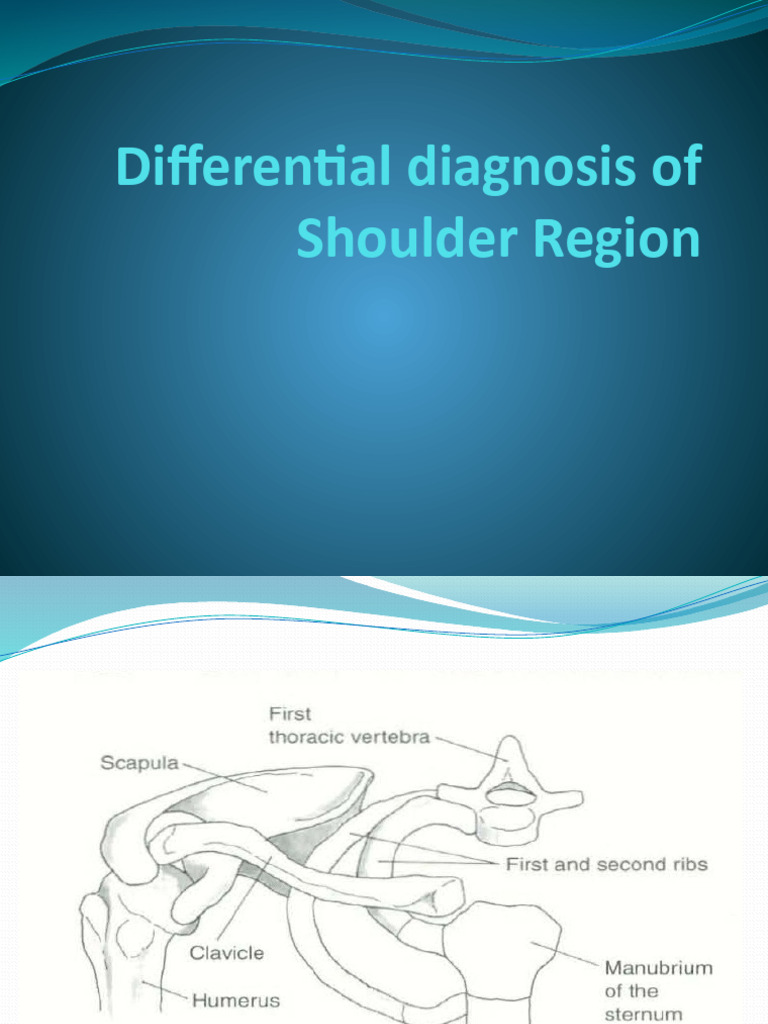 Differential Diagnosis of Shoulder Region | PDF | Shoulder | Anatomical ...