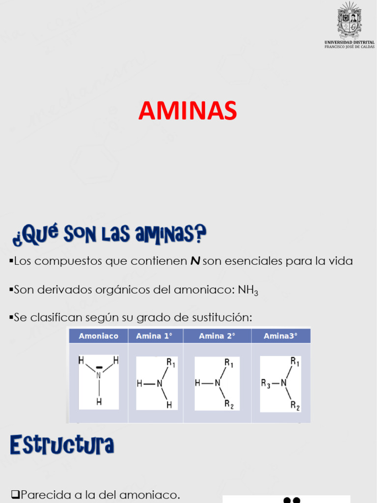 Propiedades y Aplicaciones de Aminas | PDF | Amina | Amoníaco