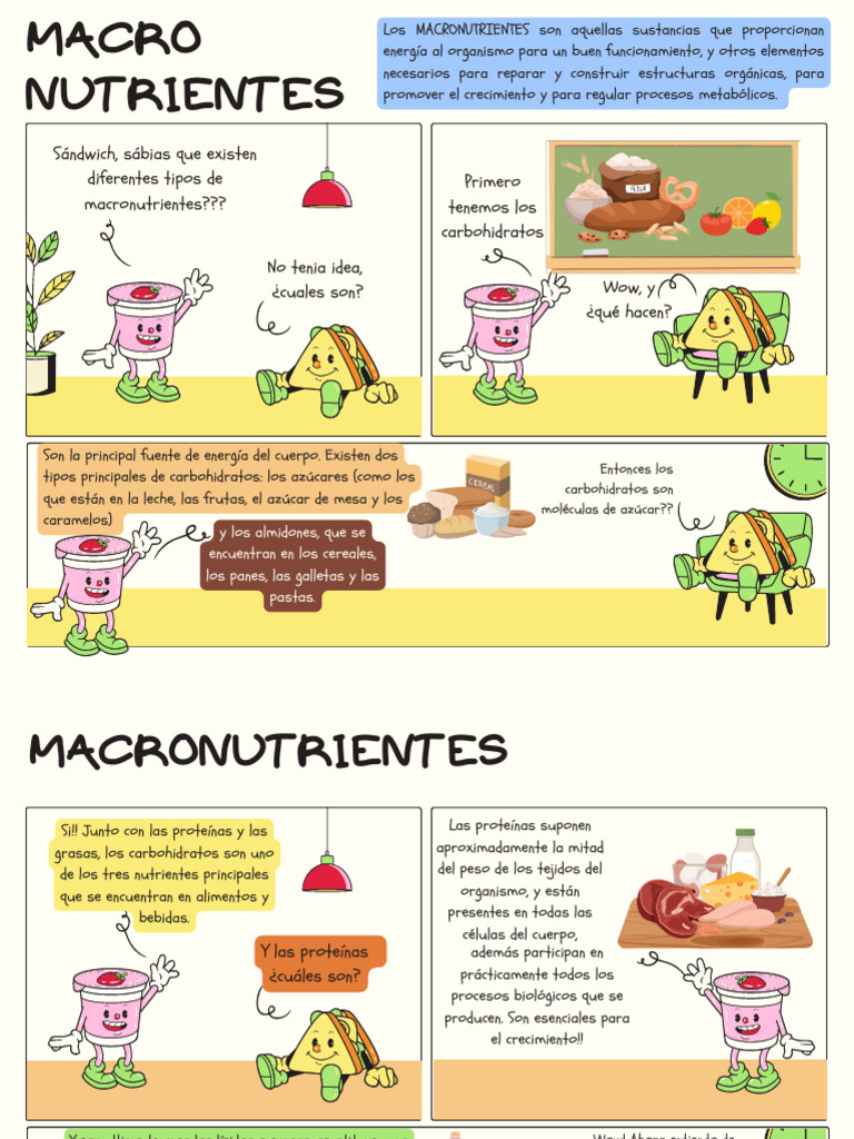 Tipos y funciones de macronutrientes | PDF | Nutrientes | Carbohidratos
