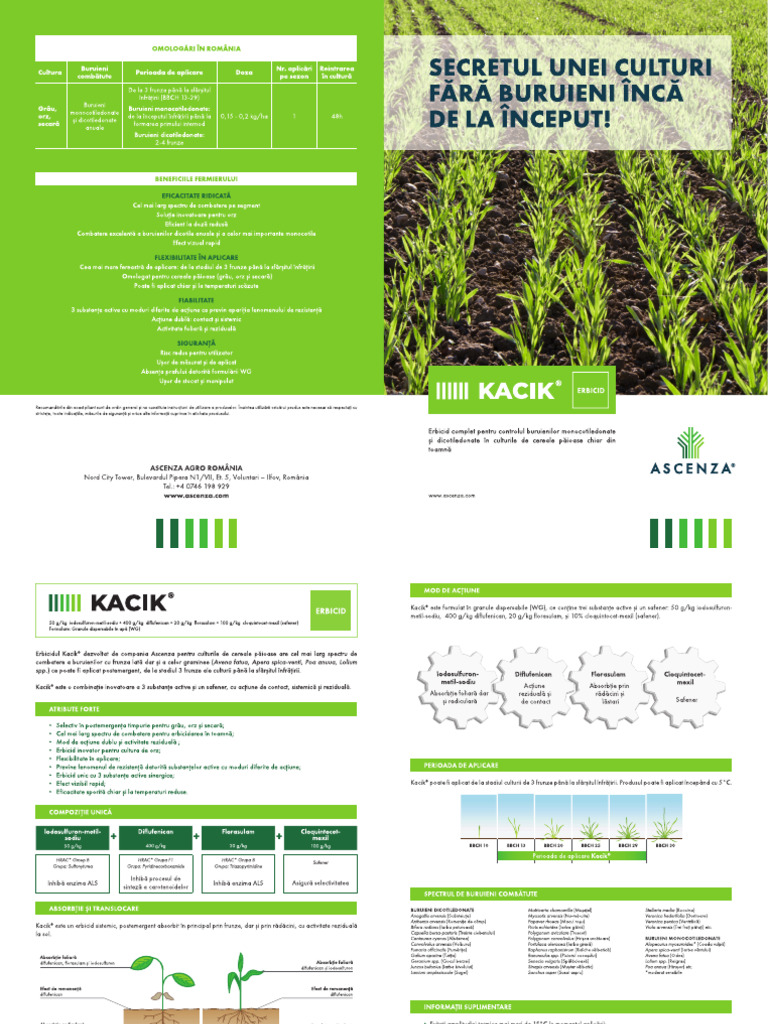 Pliant Kacik Ascenza FINAL | PDF