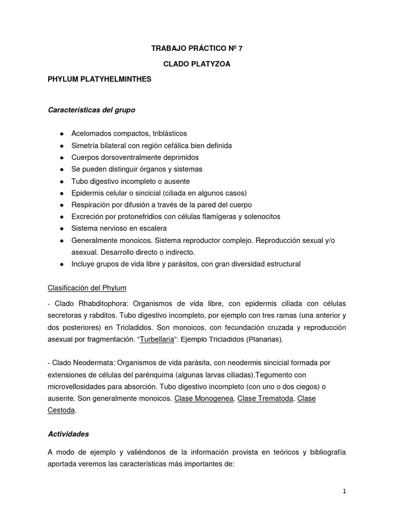 TP #7 Bilateria, Clado Platyzoa, Phylum Platyhelminthes - 2024 | PDF ...