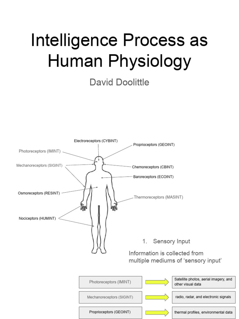Intelligence Process As Human Physiology | PDF | Neuroscience | Nervous ...