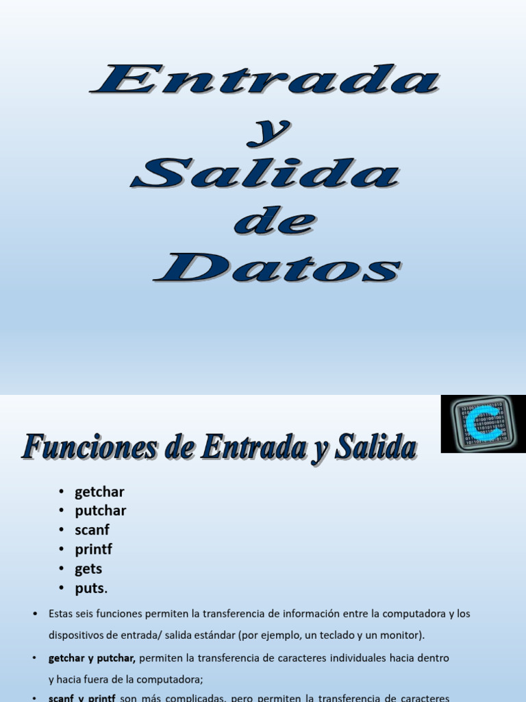 Entrada y Salida de Datos (Programación) | PDF | Programa de ...