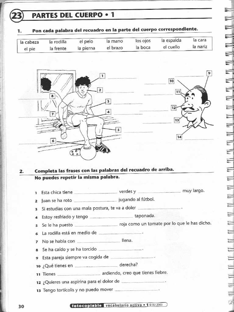 El Cuerpo y La Salud | PDF