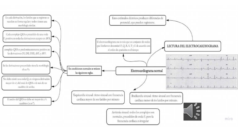 Mapa-Punto 4 - EKG | PDF
