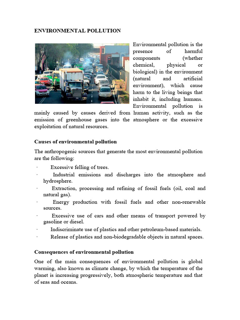 ENVIRONMENTAL POLLUTION | PDF | Pollution | Human Impact On The Environment