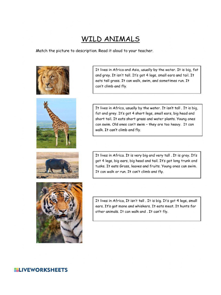 Animal Description | PDF