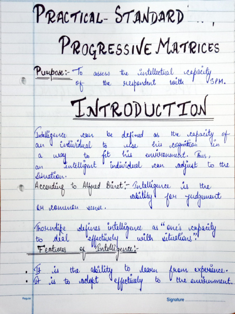 Standard Progressive Matrics | PDF