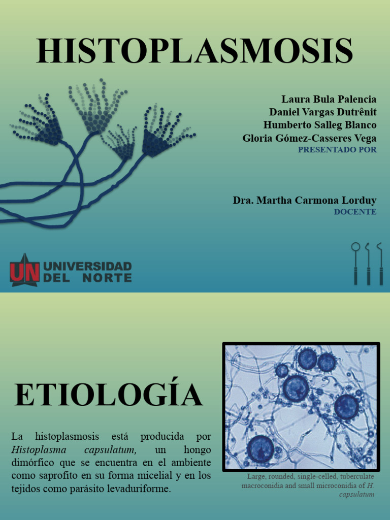 Histoplasmosis: Causas y Manifestaciones | PDF | Causas de la muerte ...