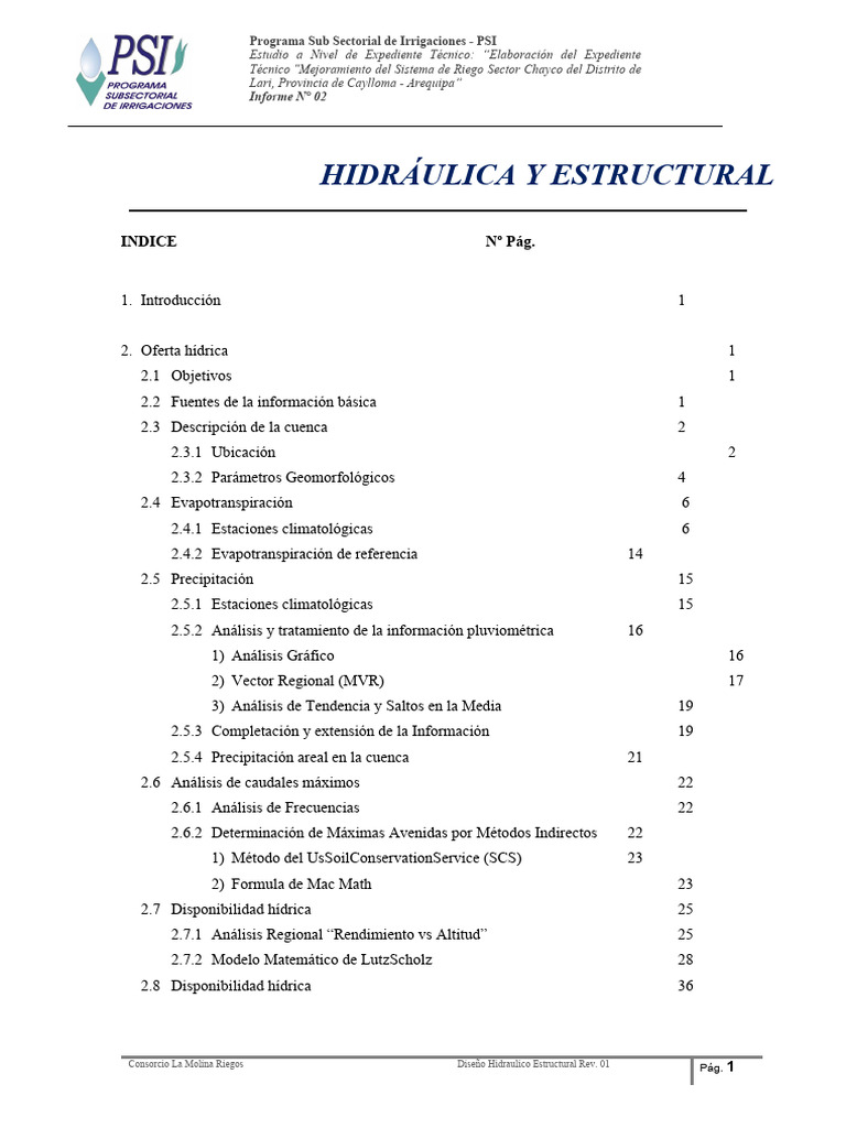 Informe Diseño Hidr. Estruct. | PDF | Topografía | Hidráulica