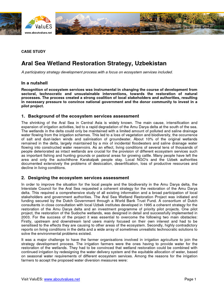 Values Case Study Wetland Restoration Uzbekistan 6752 Pdf