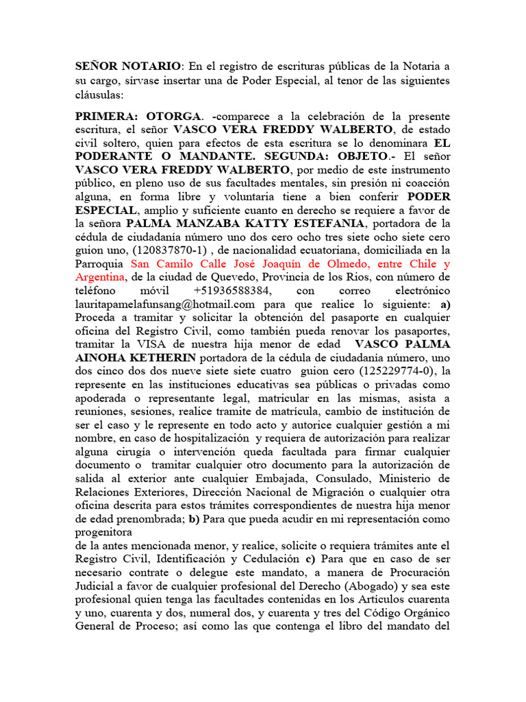 Poder Especial para Trámites de Menor | PDF | Documento de identidad ...