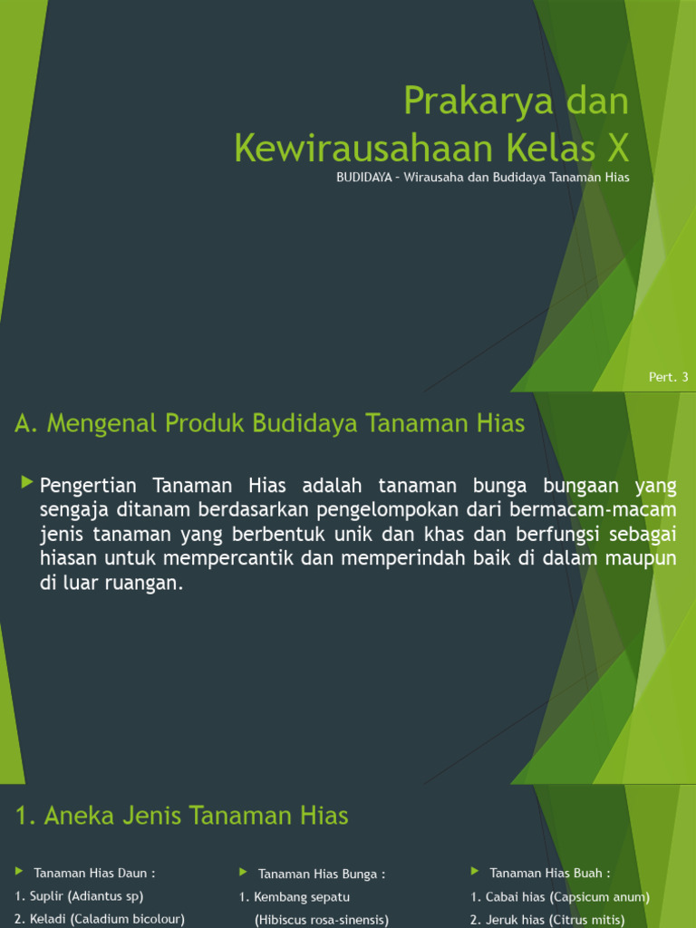 PKWU X Budidaya Tanaman Hias (Pert. 3) | PDF