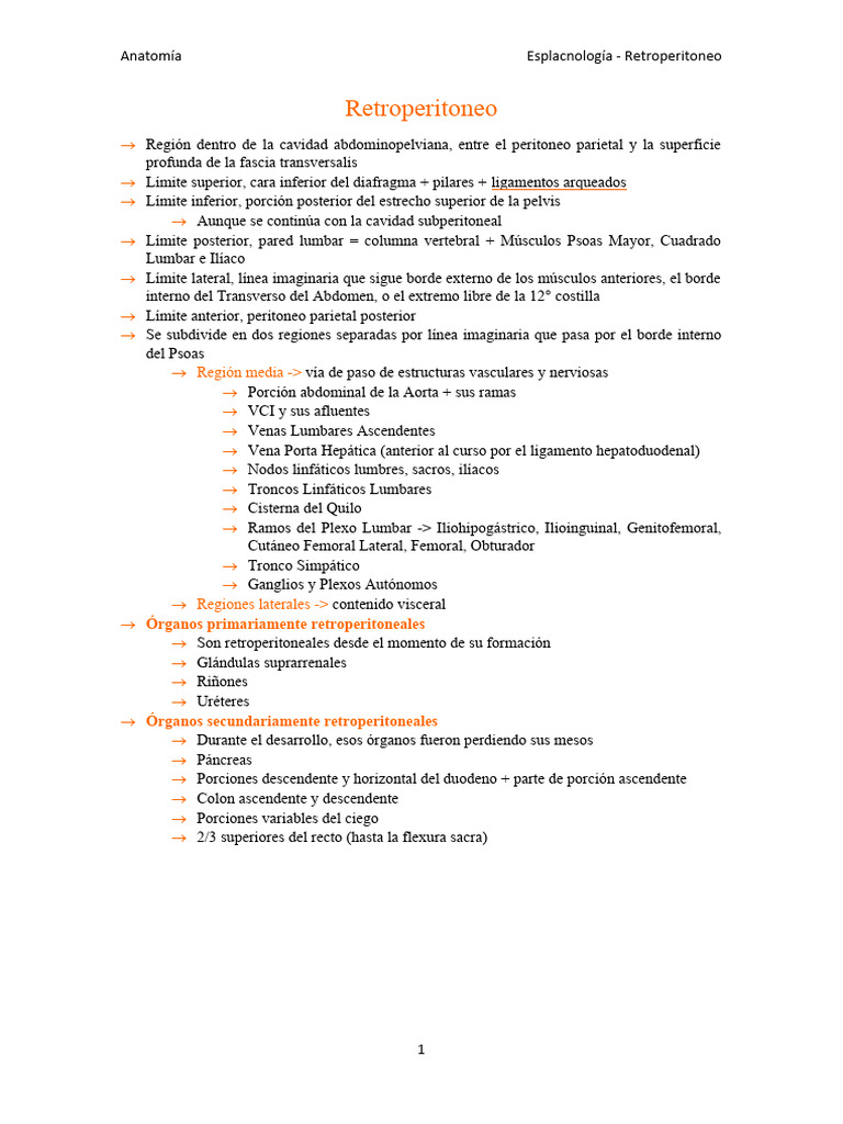 Retroperitoneo | PDF | Riñón | Abdomen