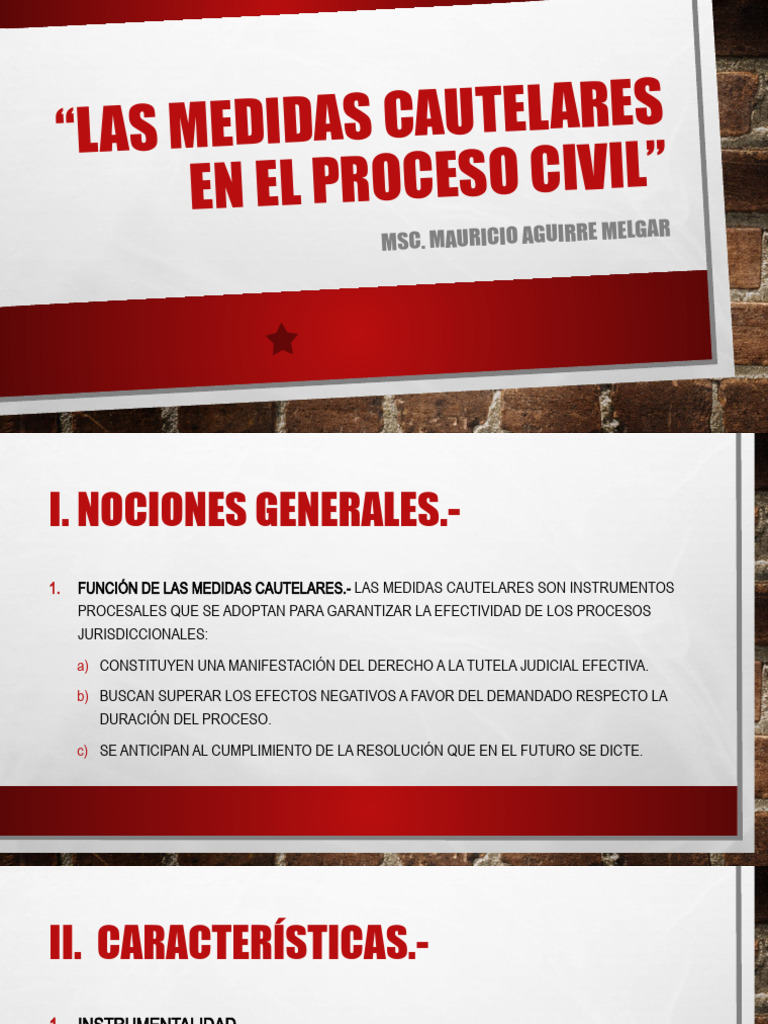 Las Medidas Cautelares en El Proceso Civil | PDF