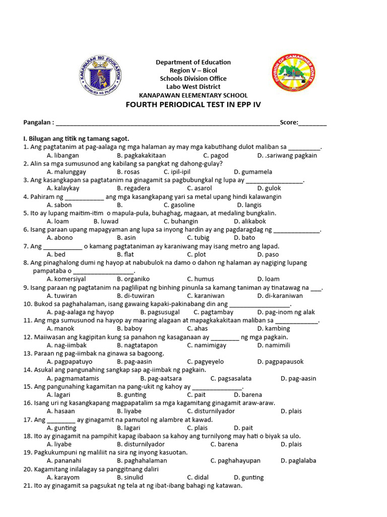 Fourth Periodical Test in Epp Iv | PDF