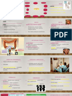 Anatomía y Fisiología Anorectal | PDF | Recto | Sistema digestivo