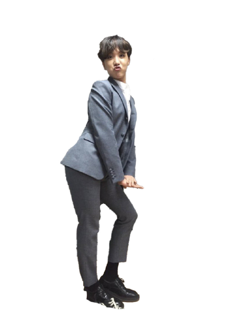 HOBI POSE | PDF