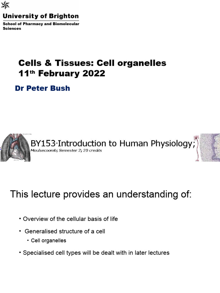 11.02.22 - Cells and Cell Organelles - DR Peter Bush | PDF ...