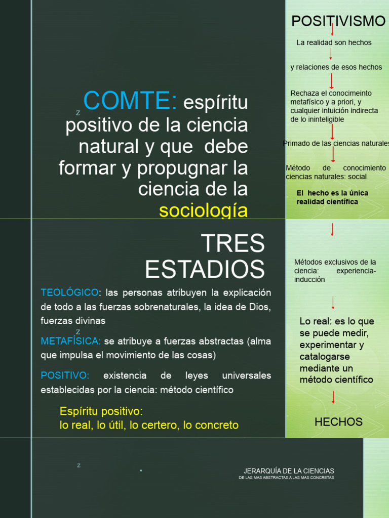 Teorias Sociologicas | PDF | Emile Durkheim | Sociedad