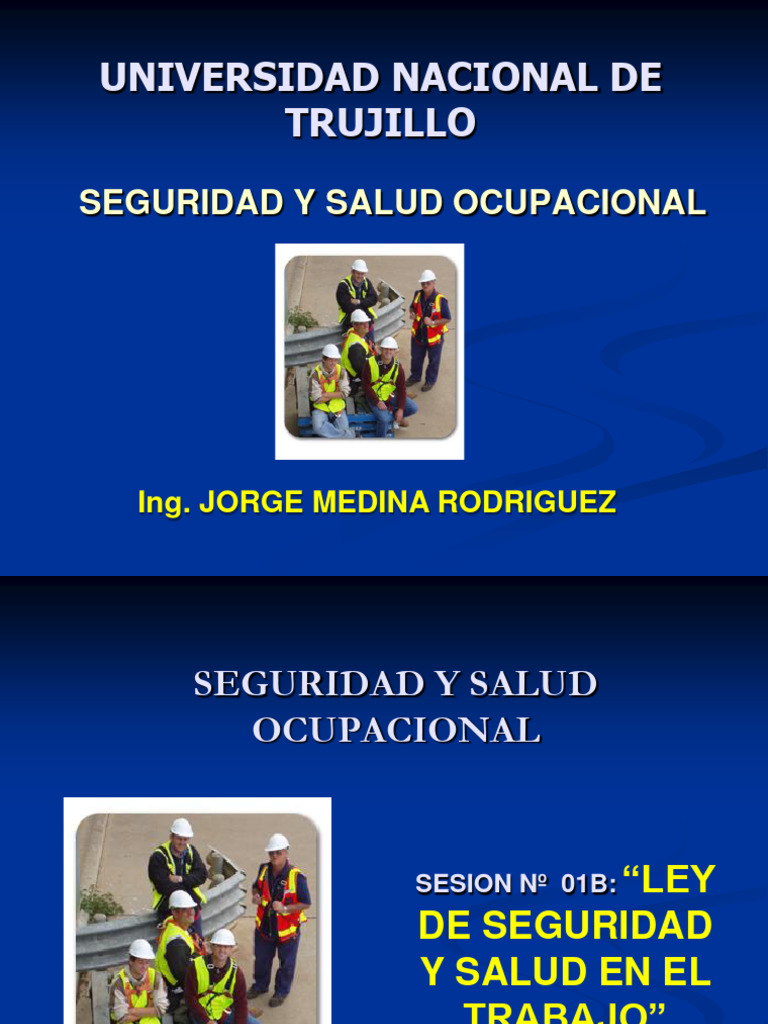 Sesion #01B Ley y Reglamento SST - Ley 29783 | PDF | Seguridad y salud ocupacional | Derecho laboral