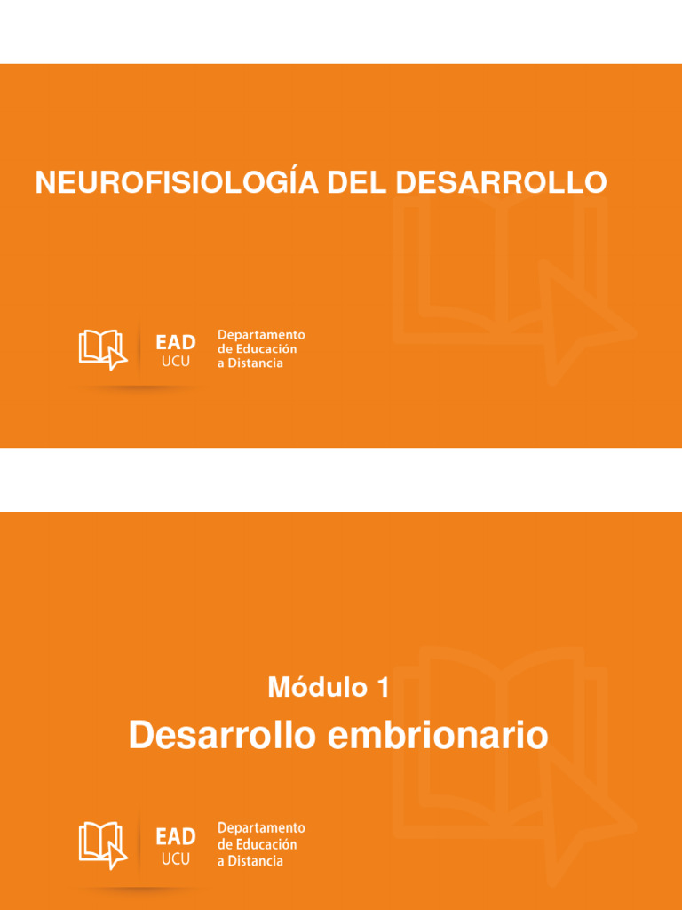 Embriología y Desarrollo Del Sistema Nervioso | Descargar gratis PDF ...
