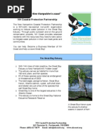 Alabama Rain Garden Brochure | PDF | Stormwater | Flood