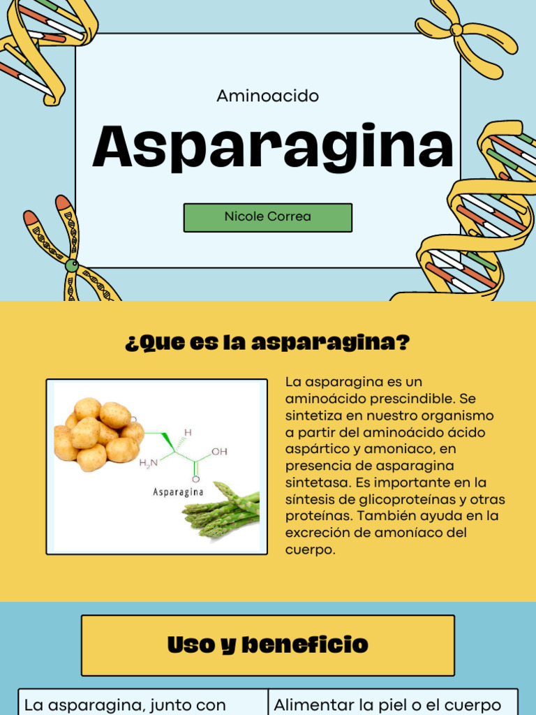Asparagina | PDF | Proteínas | Biosíntesis