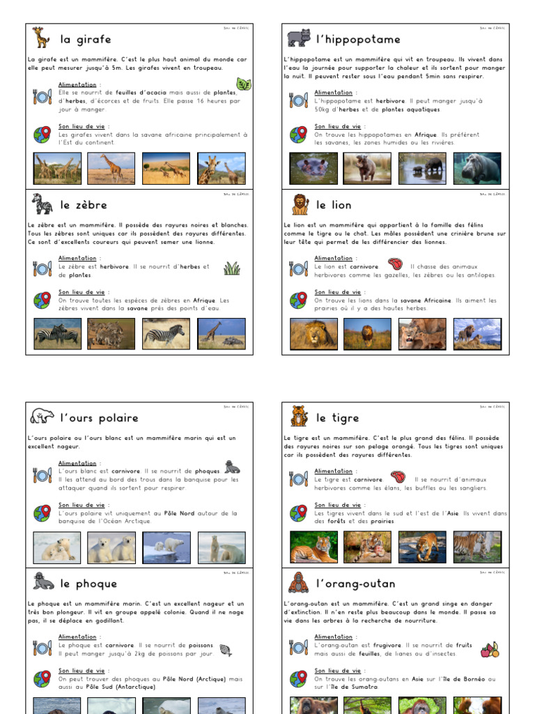 BDC - Les Fiches Documentaires Pour Bienvenue Au Zoo - 111638 | PDF ...