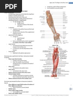 Flexor Extensor Retinaculum of The Hand | PDF | Thumb | Hand