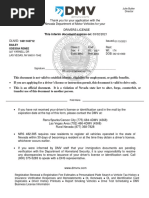 Temporary License | PDF