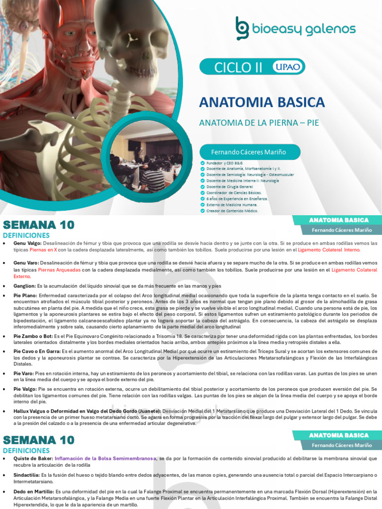Definiciones Semana 10 B&G 2024-1 Fernando Caceres | Descargar gratis PDF | Rodilla | Pie