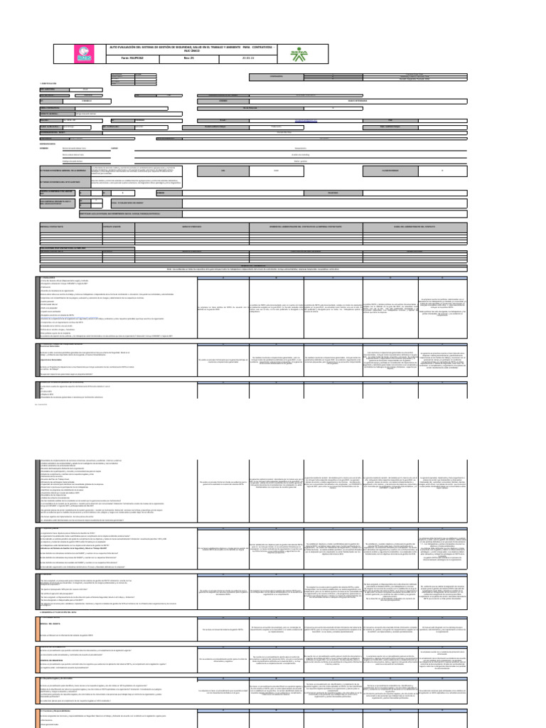GPC179 2021 FAUPE262 Formato Autoevaluacion RUC Rev 25 | PDF | Business | Economias