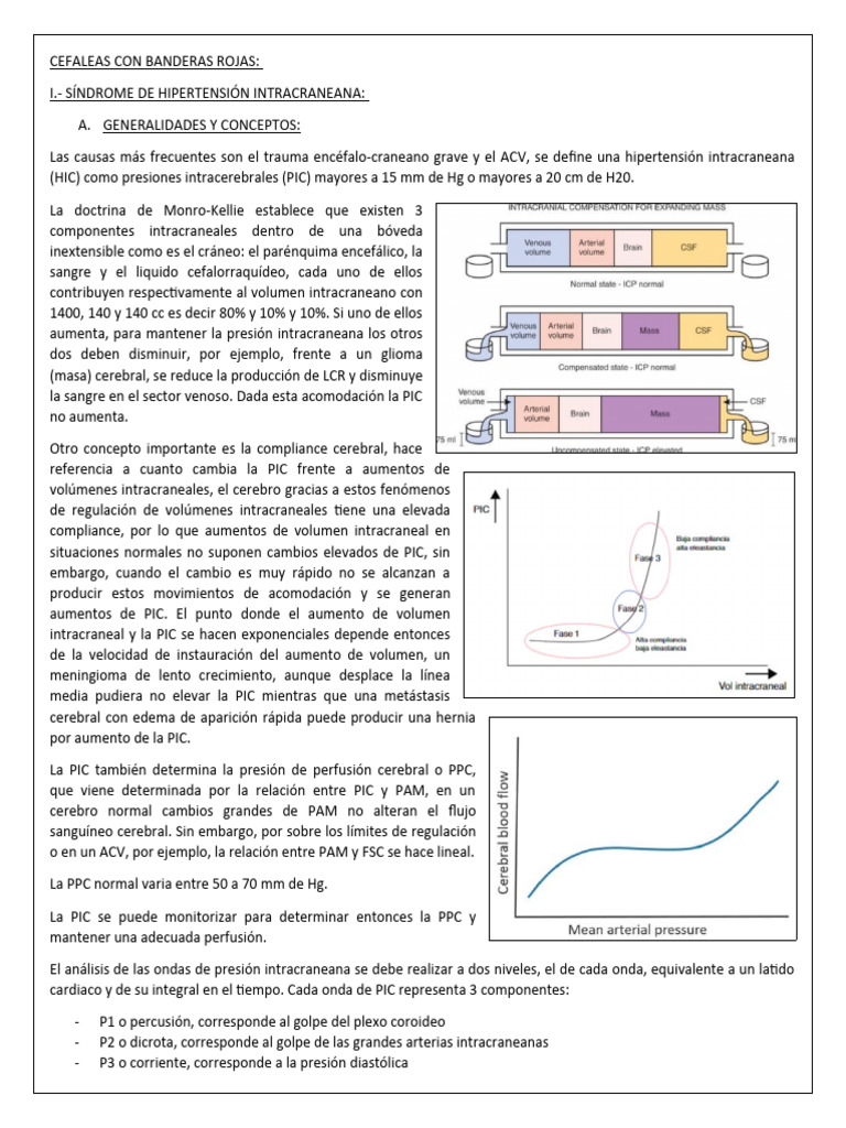 Cefaleas Con Banderas Rojas | PDF | Angiología | Sistema cardiovascular