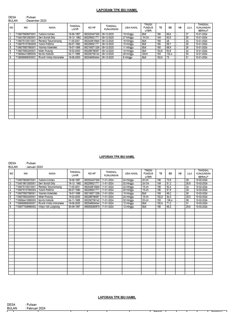 Laporan TPK Bumil Dan Pasca Salin Pulisan | PDF