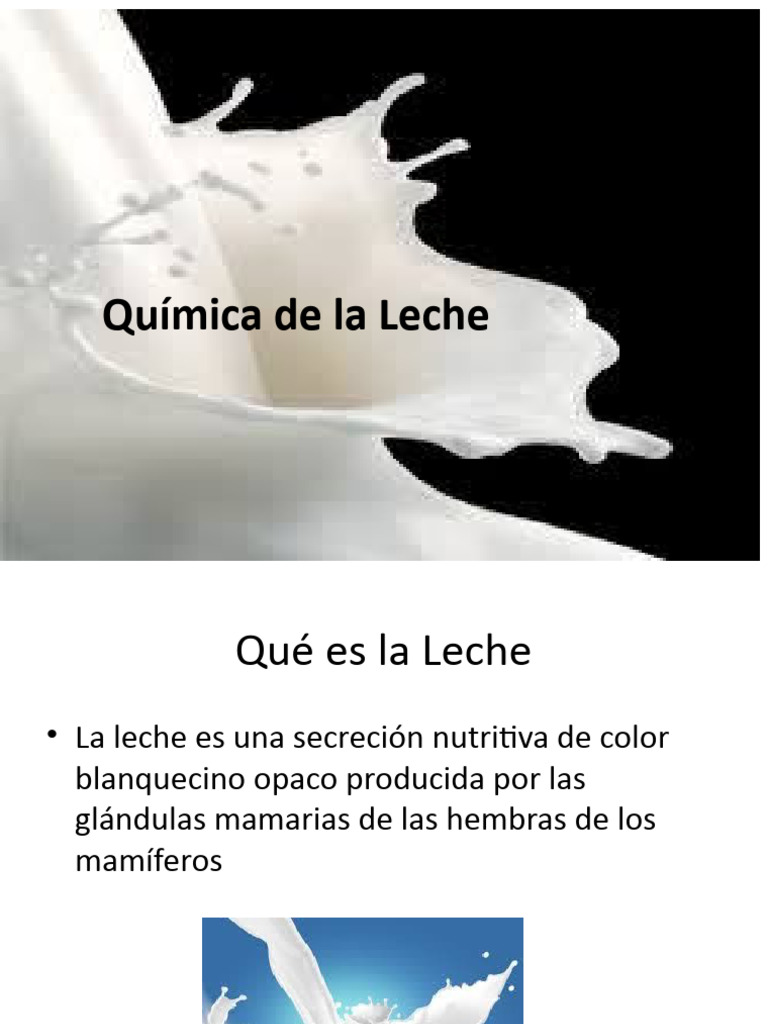 Composición y Fermentación de la Leche | PDF | Leche | Queso