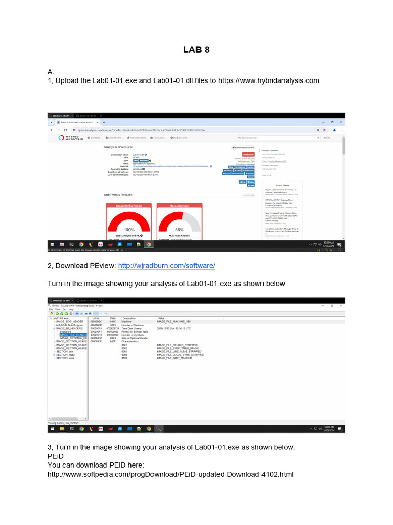 Lab 8: Malware Analysis Techniques | PDF | Domain Name System | Computer File